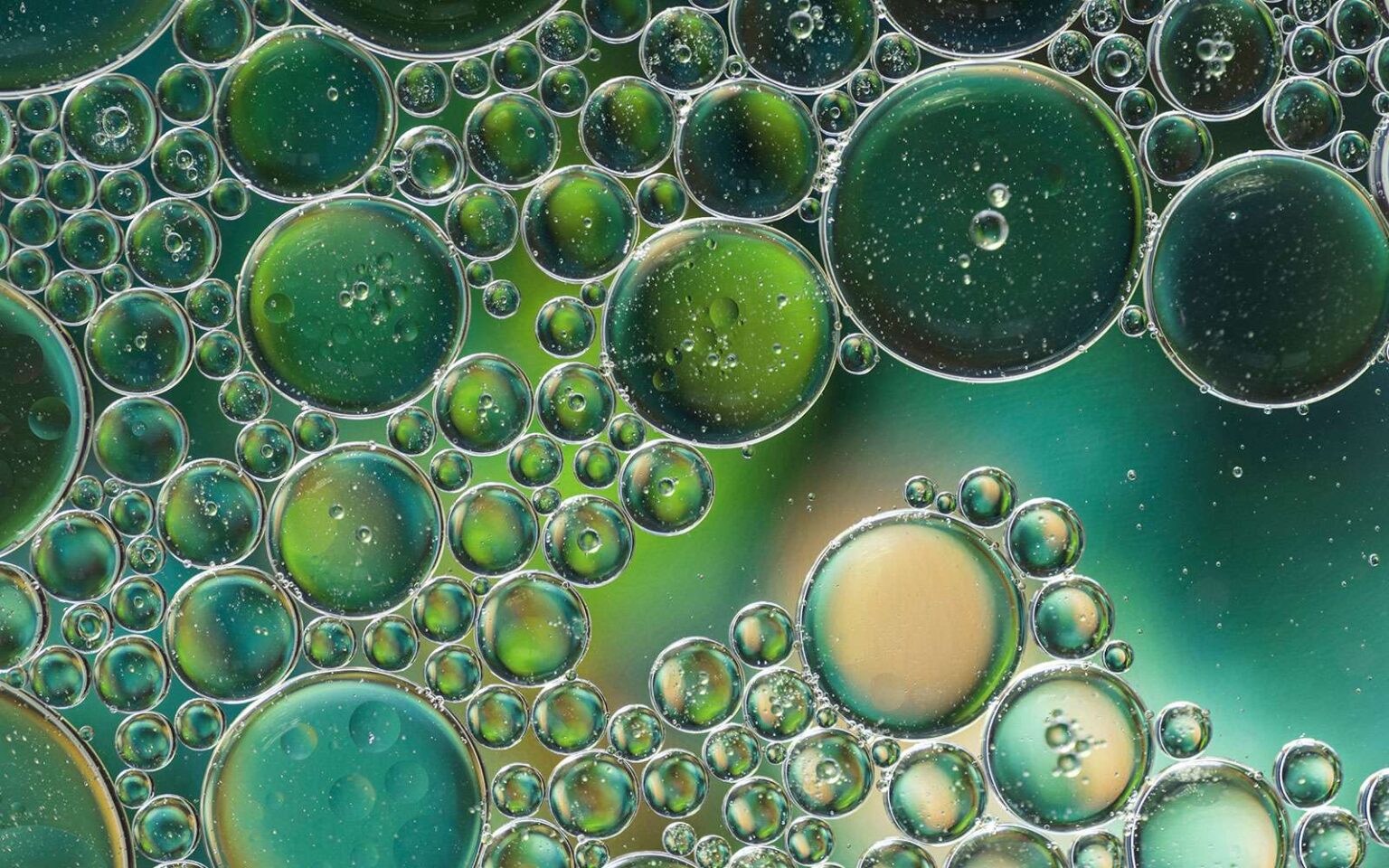 Home » Michael Nehls